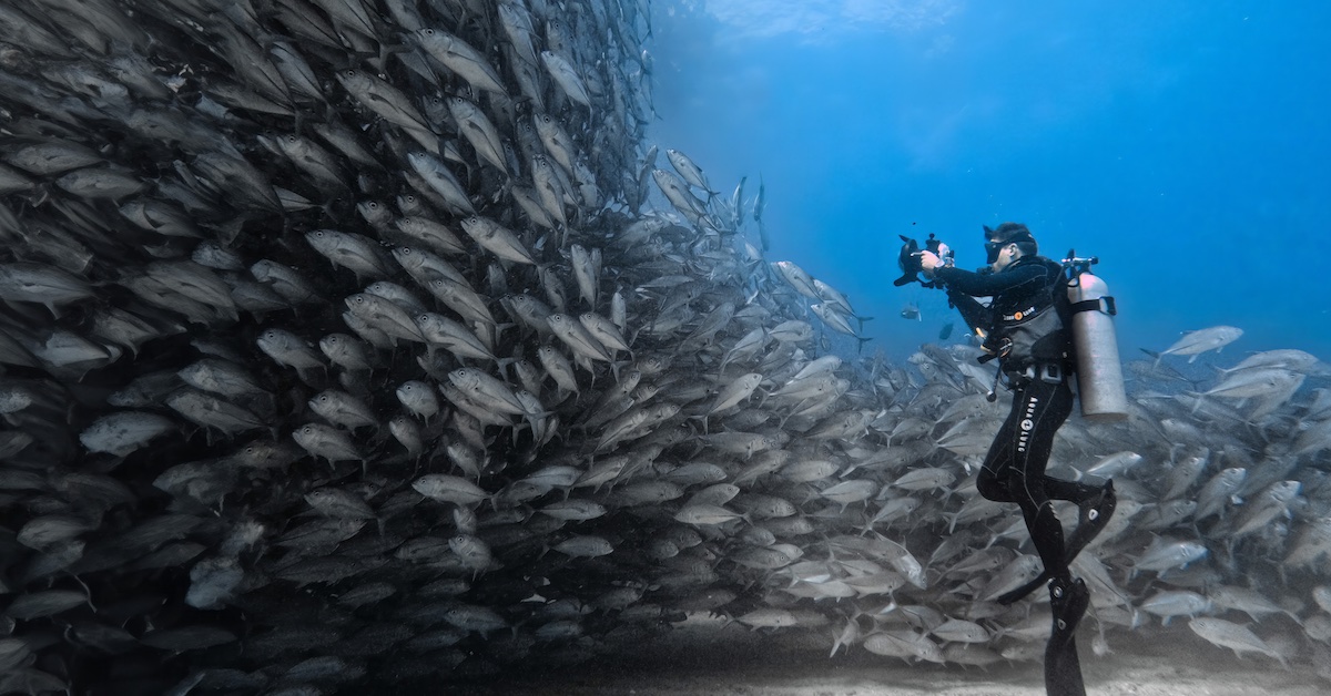 Benoit Linard - Underwater showreel